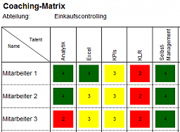 Coaching Matrix erstellen mit Excel